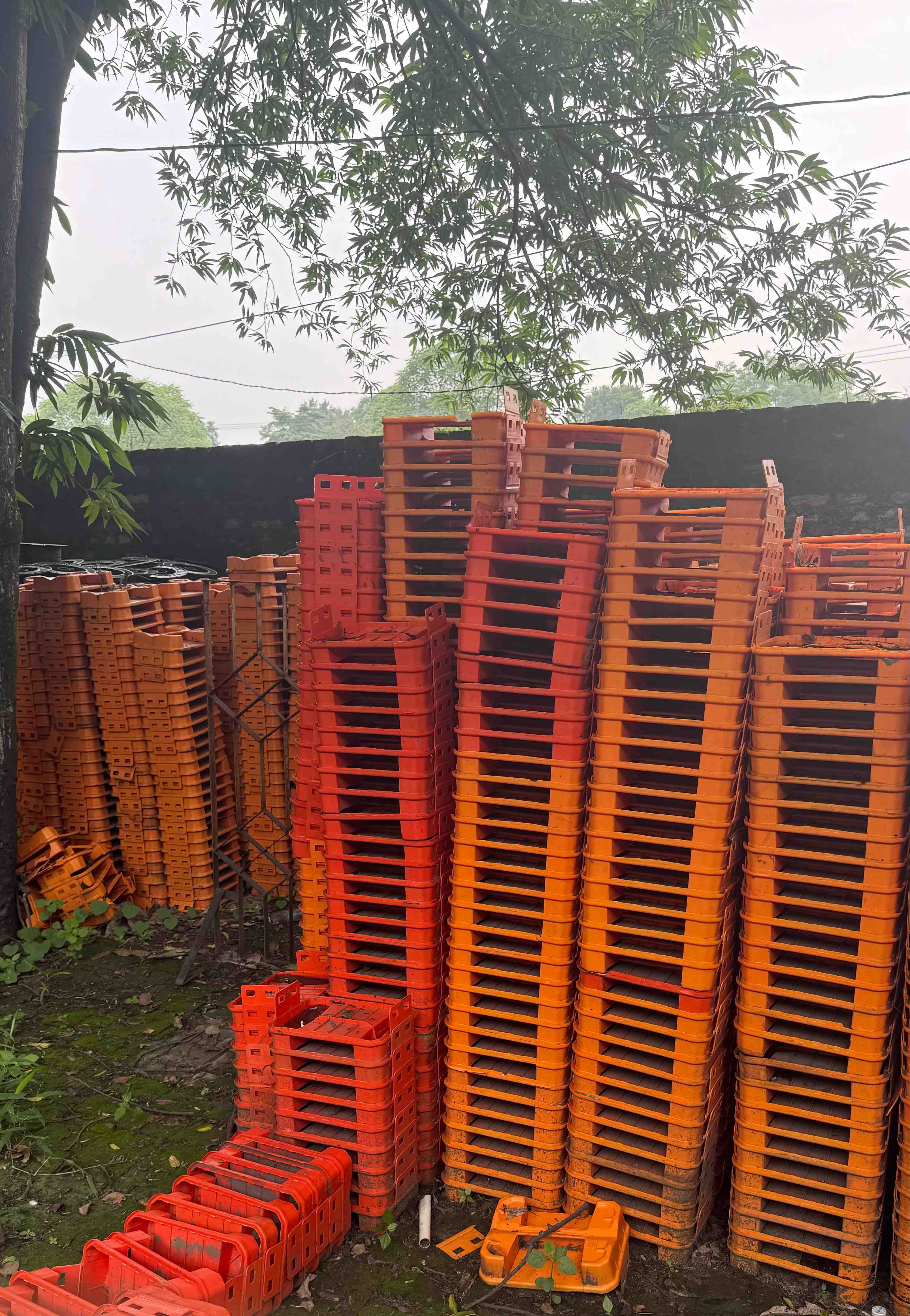 ALL TYPE OF PLASTIC SCRAP,PP,Scrap,Mix Scrap,Laravel