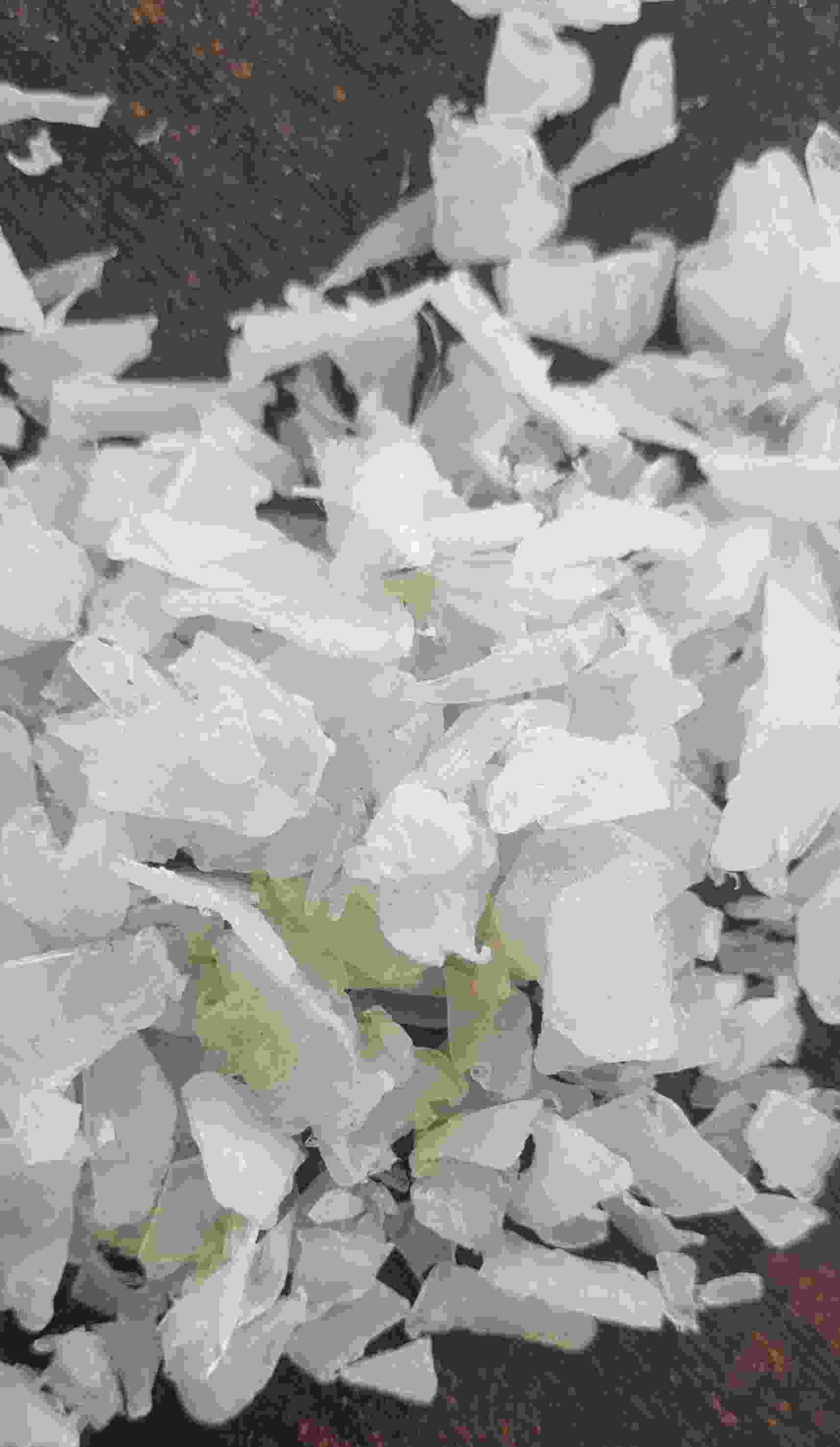 HD MOLDING,HDPE,Grinding,Injection Molding,Laravel