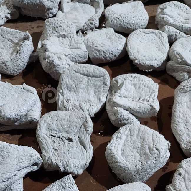 MILKY PP LUMPS GATHA | PP | LUMPS | EXTRUSION | - GUJARAT INDIA ...