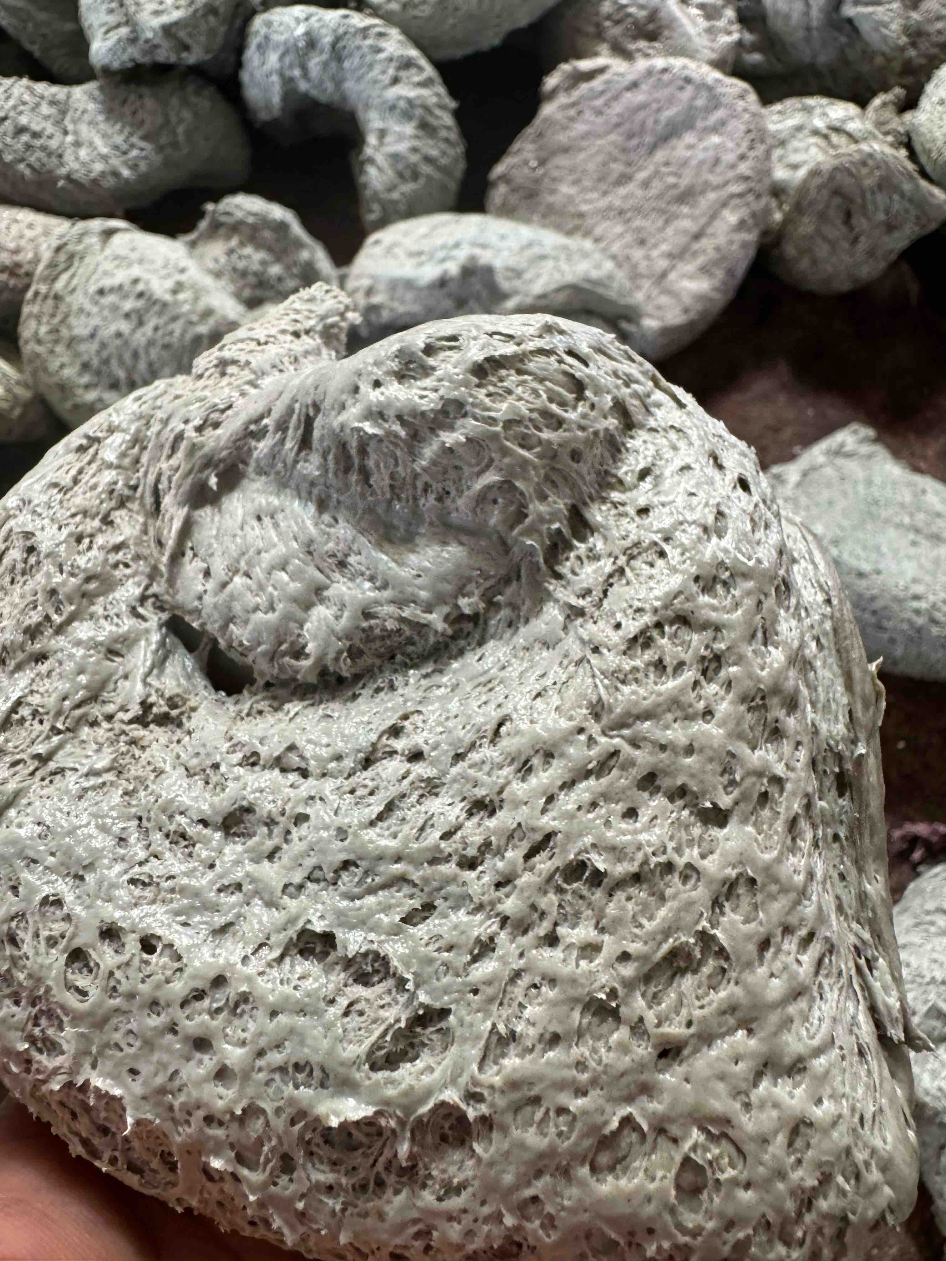 Buy & Sell PP Plastic, Material, Rope, Granules, Raffia, Lumps, Powder ...