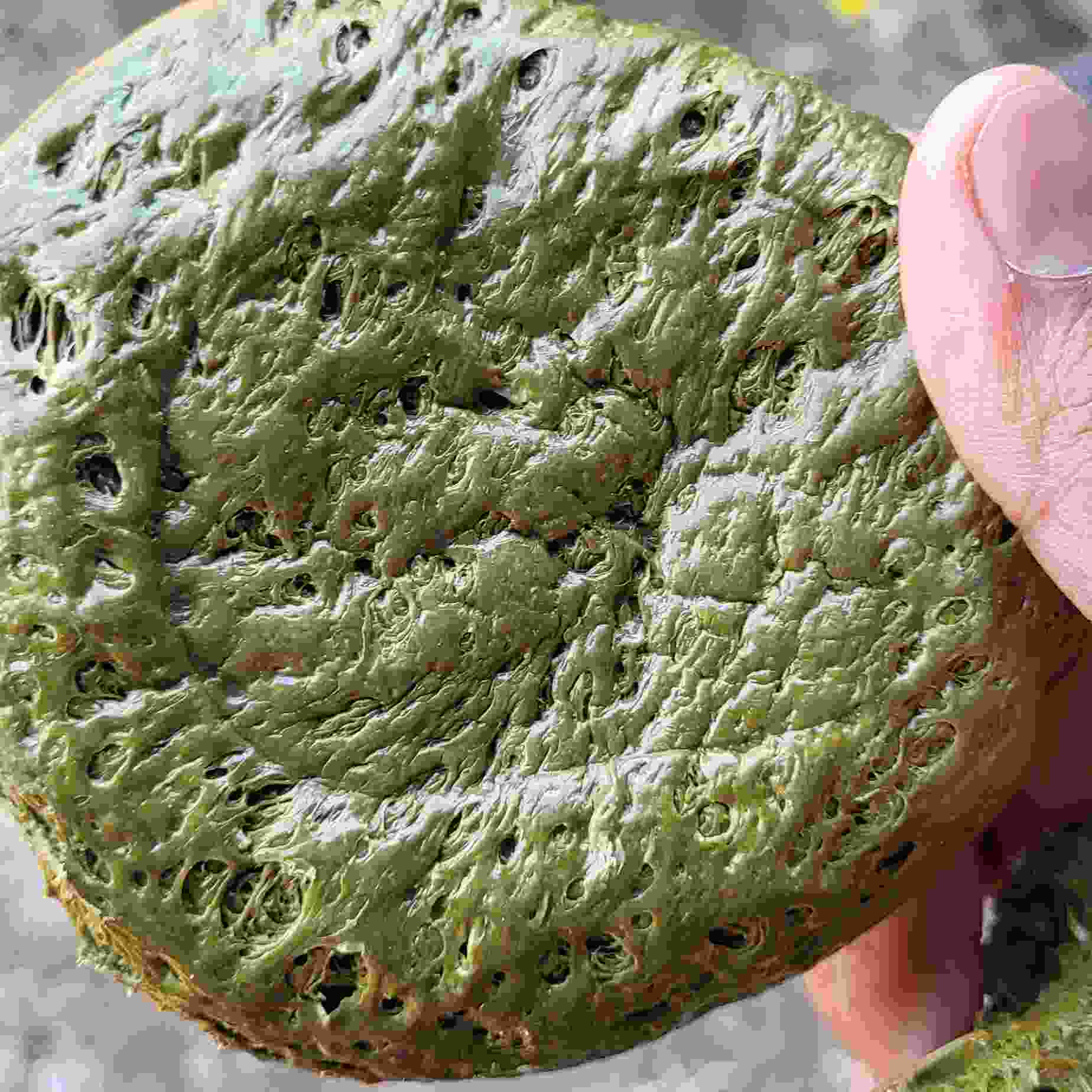 PP RAFFIA LUMPS,PP,Lumps,Extrusion,Plastic4trade